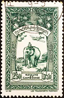 Elephant Art Prints, Posters & Photo Prints