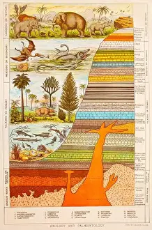 Paleontology Art Prints, Posters & Photo Prints