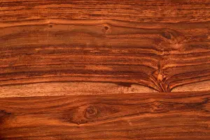 Hardwood Prints